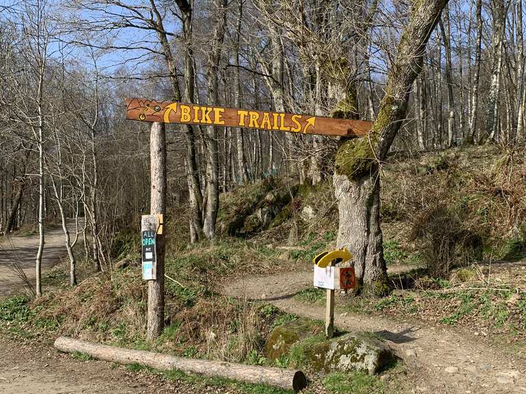 Comrie Croft Mountain Bike Trails: Mountainbike-Touren und -Trails | komoot