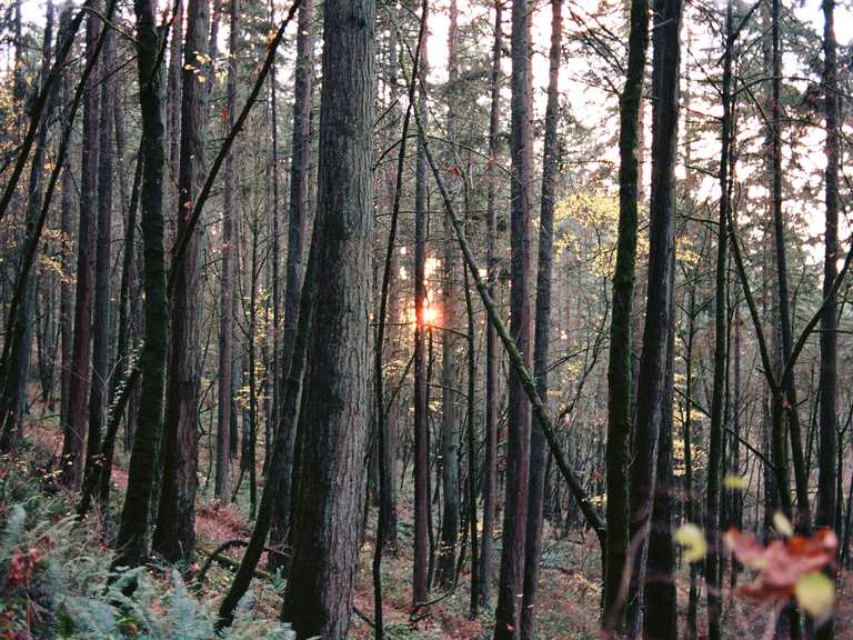 Hendricks Park: Wanderungen und Rundwege | komoot