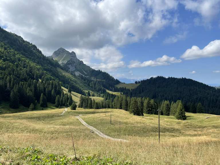 Sentier de la crête du Moléson - boucle depuis Plan Francey | randonnée ...