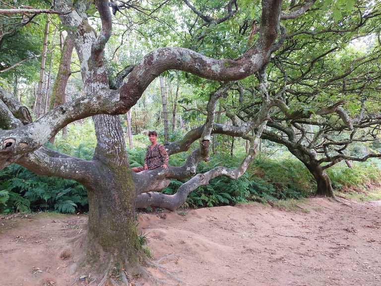 The Powder House Routes for Walking and Hiking | Komoot