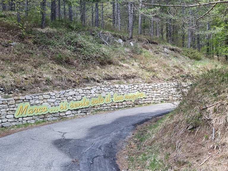 Monte Carpegna (Passo Marco Pantani): percorsi per bici da corsa | Komoot