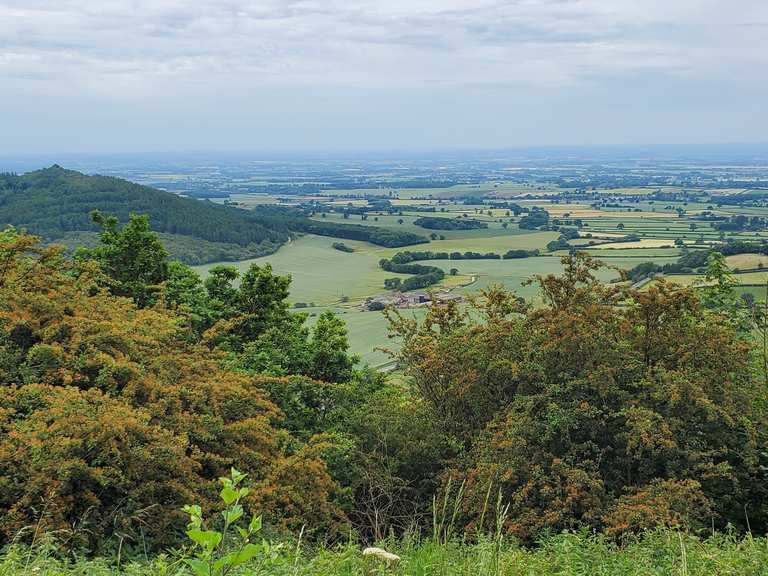 High Paradise Farm and Garbutt Wood Nature Reserve loop — North York ...
