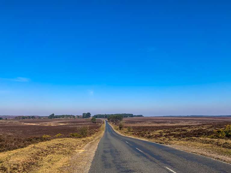 Beaulieu, Lyndhurst and the Avon Valley loop — New Forest National Park ...