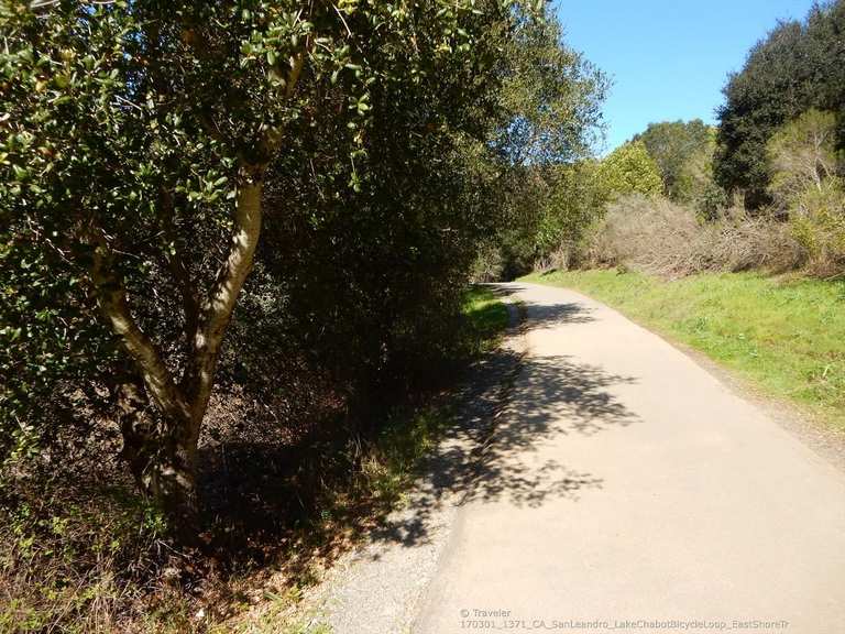 Lake Chabot shoreline loop — Lake Chabot Regional Park | hike | Komoot