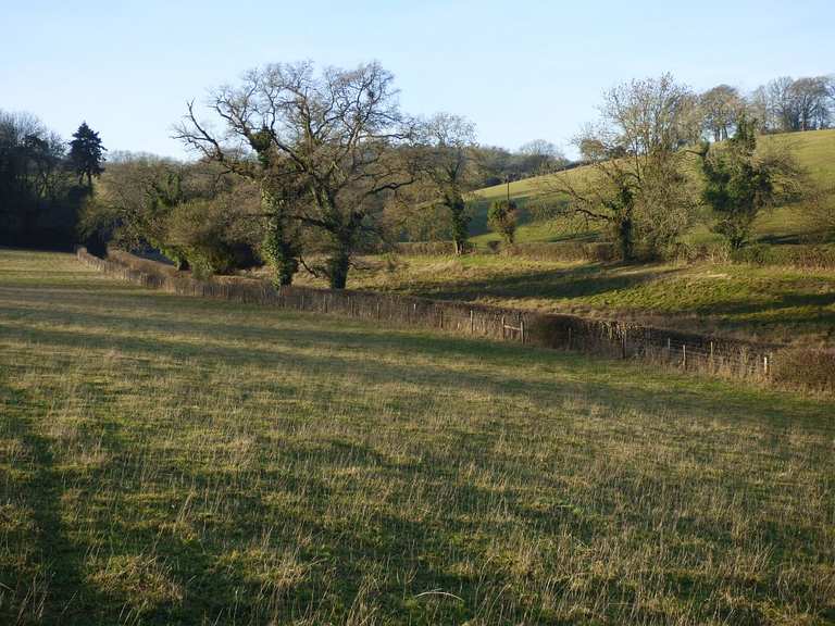 Warburg Nature Reserve and Berrick Trench loop from Nettlebed ...