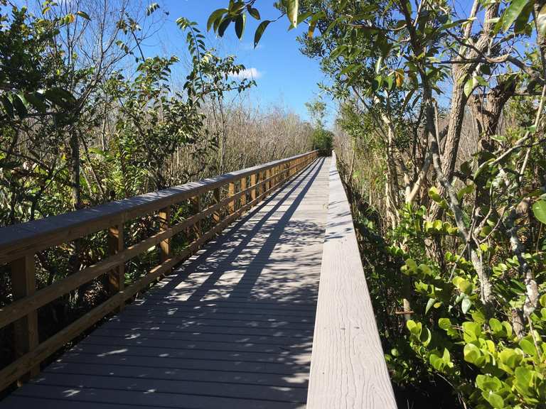 Shark Valley Loop Road — Everglades National Park | bike Tour | Komoot