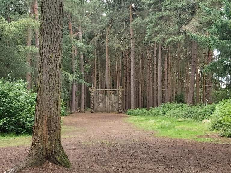 King's Wood & Stockgrove Sundial loop via Wild Things Gate | hike | Komoot