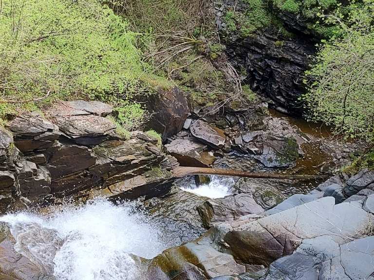 Falls of Moness: Wanderungen und Rundwege | komoot