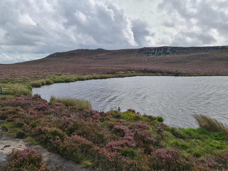 Harbottle Lake: Wanderungen und Rundwege | komoot