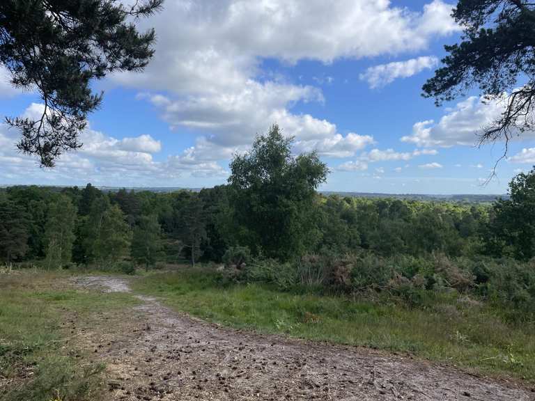 Boucle de Witley Park depuis Thursley sur le Greensand Way — Surrey ...