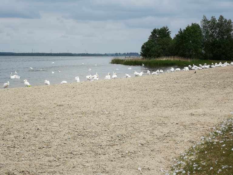 Strand Horst: Radtouren und Radwege | komoot