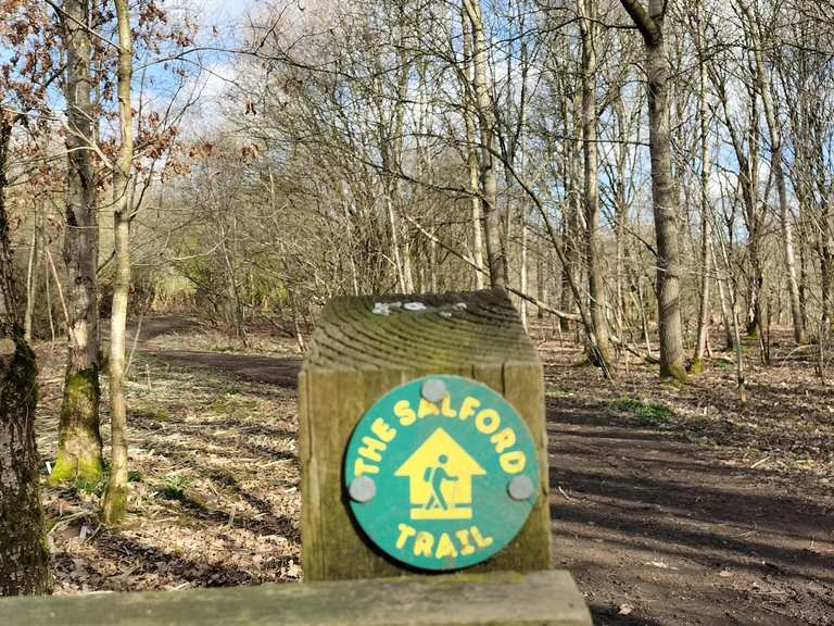 Prestwich Park (Philips Park) MTB Trails - Mountain Bike Trails ...