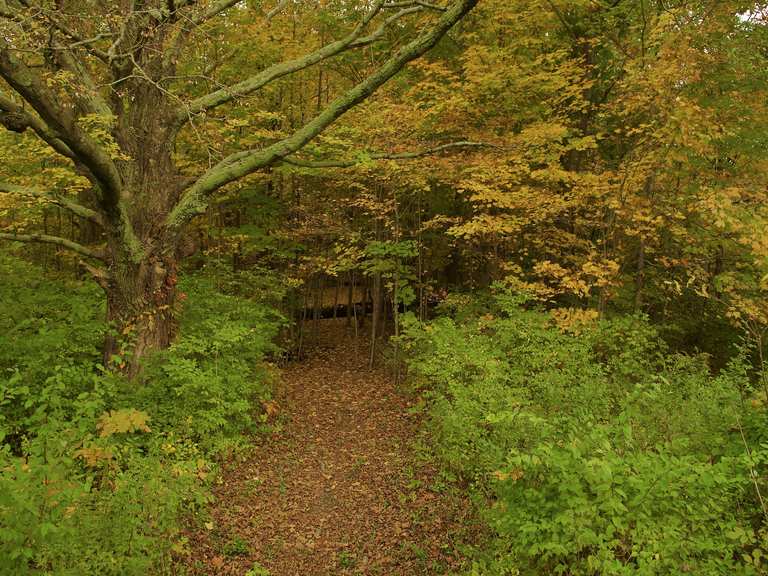Brookside Trail: Wanderungen und Rundwege | komoot