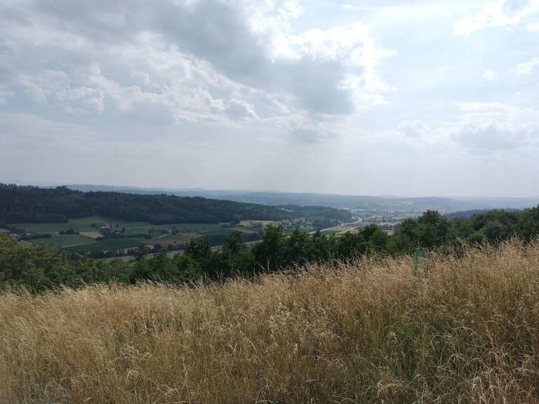 Gruben Trail: Flowig-knackig: Mountainbike-Touren | komoot