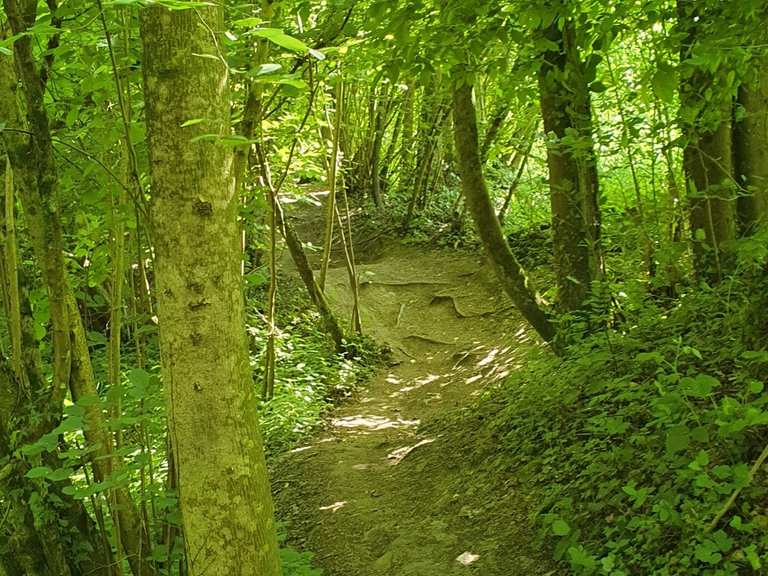 Singel track along the chanel Blaton-Ath: Mountainbike-Touren | komoot