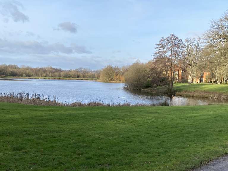 Dogmersfield Lake – Hikes & How to Get There | Komoot