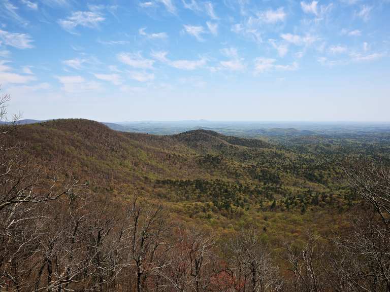 Boucle de Ball & Springer Mountain via Appalachian & Benton Mackaye ...