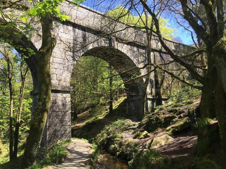 Cornish Clay Trails loop from St Austell via the Eden Project | ride ...