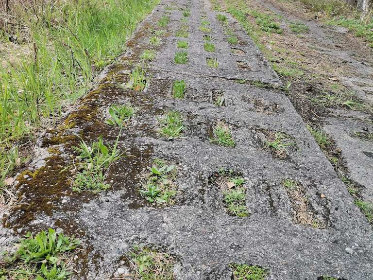 Schlagbaum auf BRD Seite ehem. innerdeutsche Grenze: Wanderungen und ...