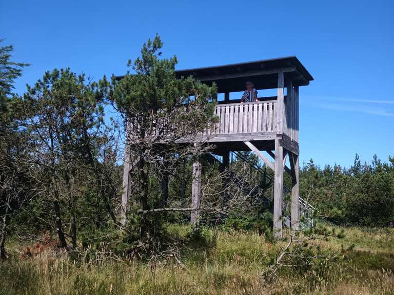 View of Ålvand Klithede from Observation Tower - Cycle Routes and Map ...