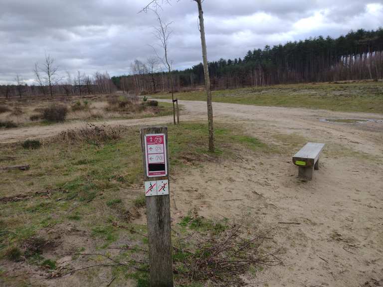 Averbode Heide wandelroutes en hikes | Komoot