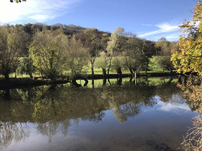 Elvendon Lane und Hartslock Nature Reserve Schleife von Goring und ...