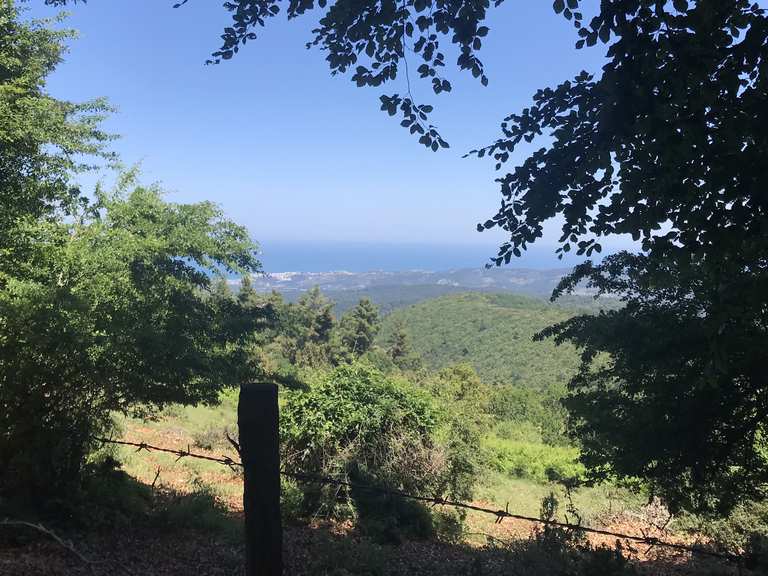 Carpino, Ischitella and the Foresta Umbra – loop tour from Vico del Gargano in the Gargano ...