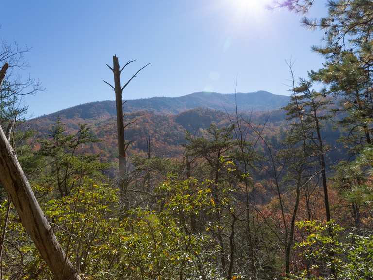 Rocky Top, Thunderhead, & Brier Knob Loop — Grande Smoky Mountains ...