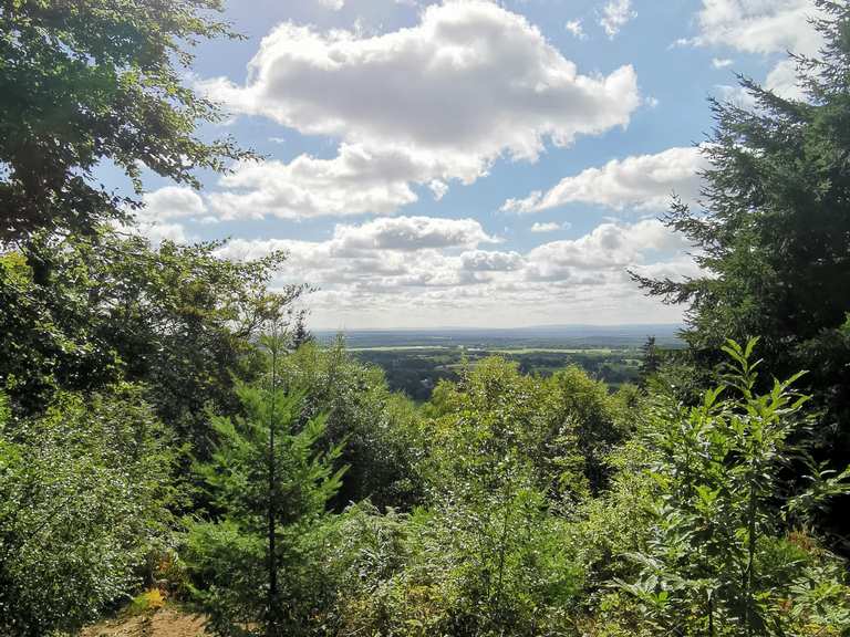 Boucle de Hascombe Hill depuis Hascombe — Surrey Hills | randonnée ...