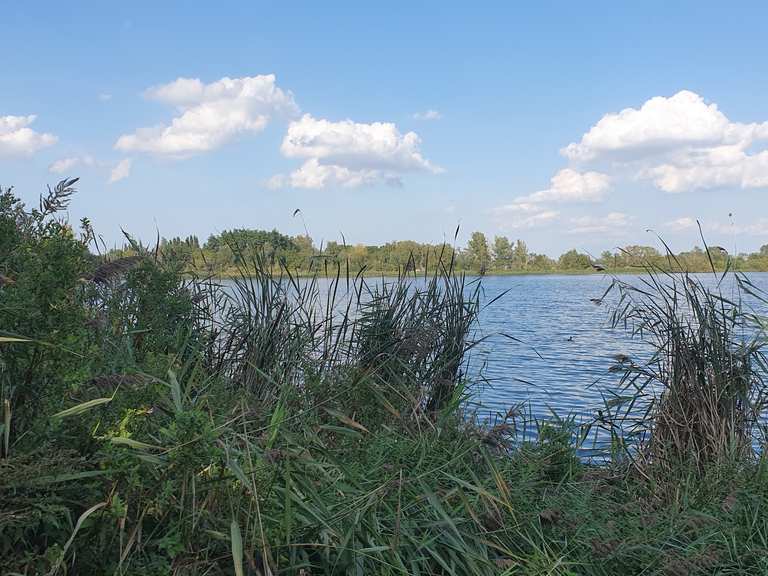 Natuurdomein de Hoge Dijken (Roksemput). : Radtouren und Radwege | komoot