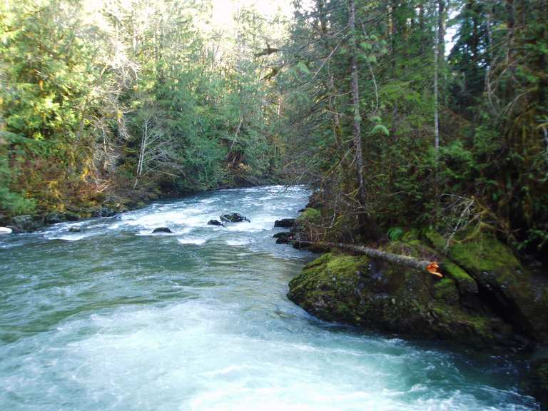 Ranger Hole Trail — Olympic National Forest | mountain bike ride | Komoot