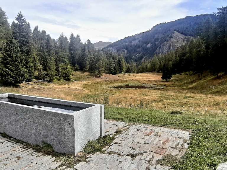 Panchina gigante di Col Pilaz: Wanderungen und Rundwege | komoot