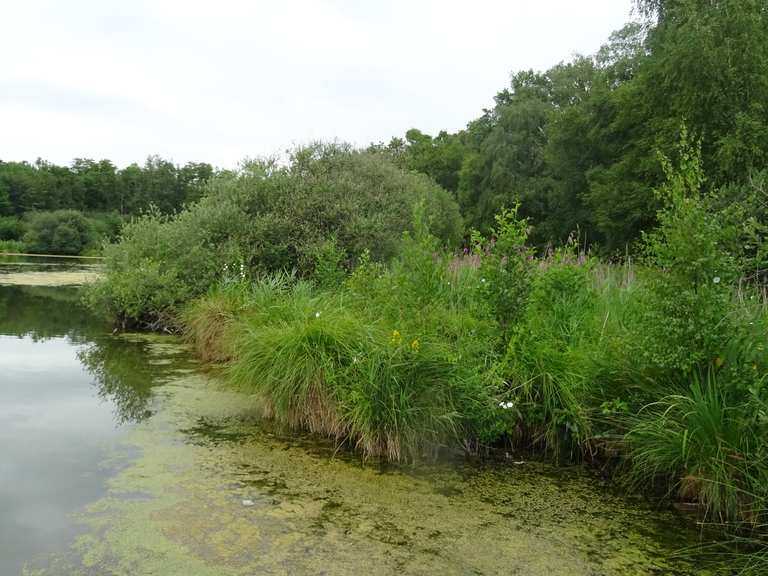 Poelvenn See fietsroutes en kaart | Komoot
