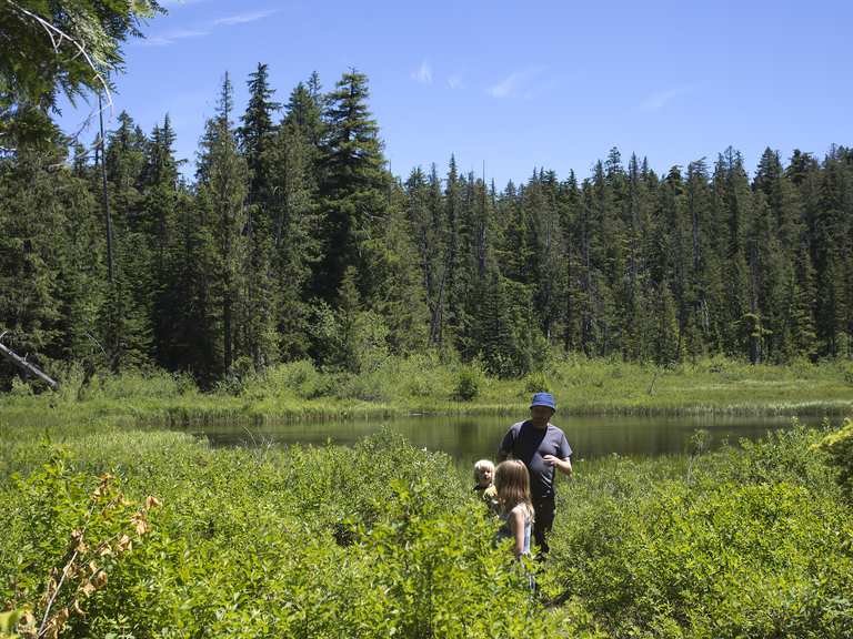 Enid Lake loop via Maggie's Tie — Government Camp Du möchtest diese ...