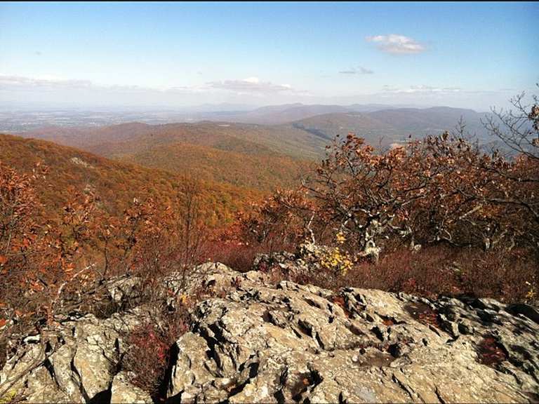 Humpback Mountain & Humpback Rocks — Blue Ridge Parkway | hike | Komoot