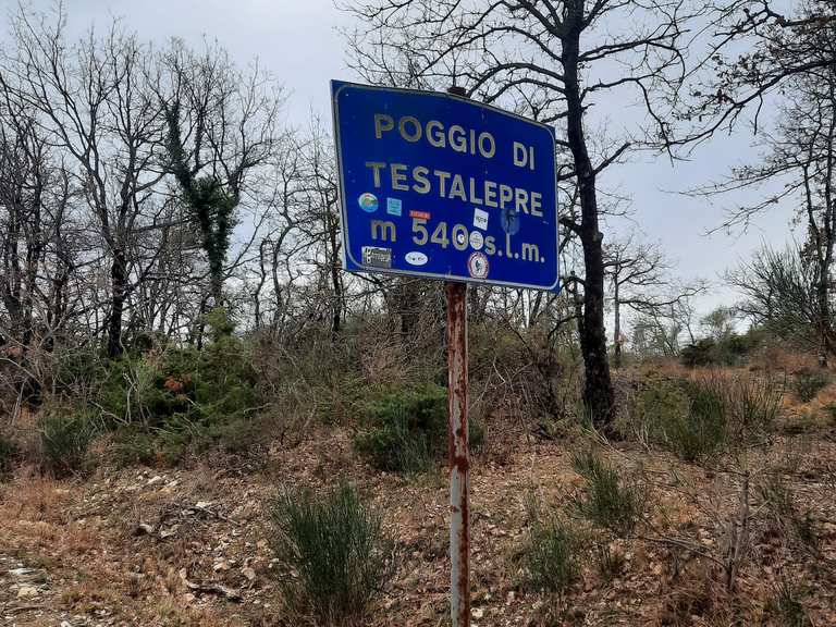 Strada panoramica da Panzano in Chianti al bivio "Le quattro strade ...