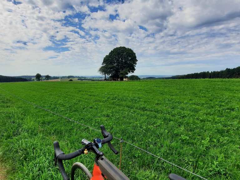Kneiff – Hoogste punt van Luxemburg (560 m) - wiellerroutes en kaart ...