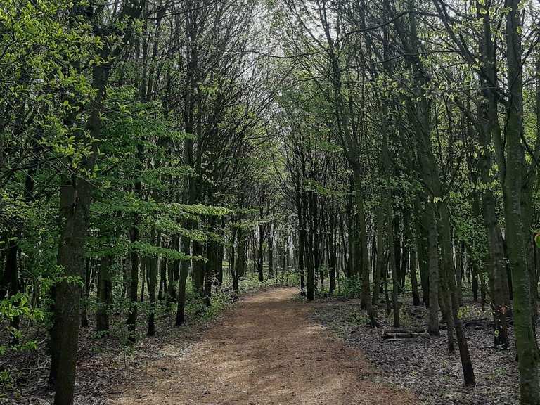 Landgoed Het Grootveld wandelroutes en hikes | Komoot