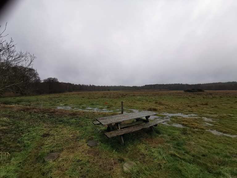 Stubbe Sø: Wanderungen und Rundwege | komoot
