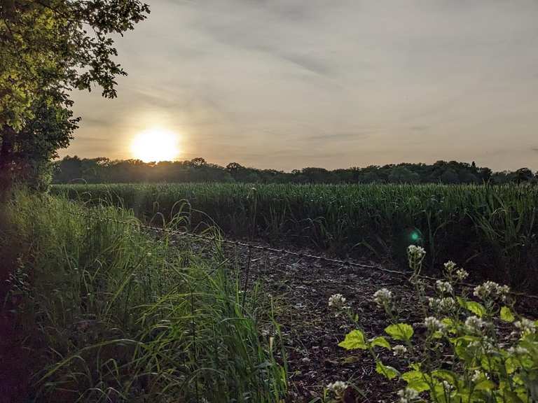 Roman Road on the Clarendon Way - Cycle Routes and Map | Komoot