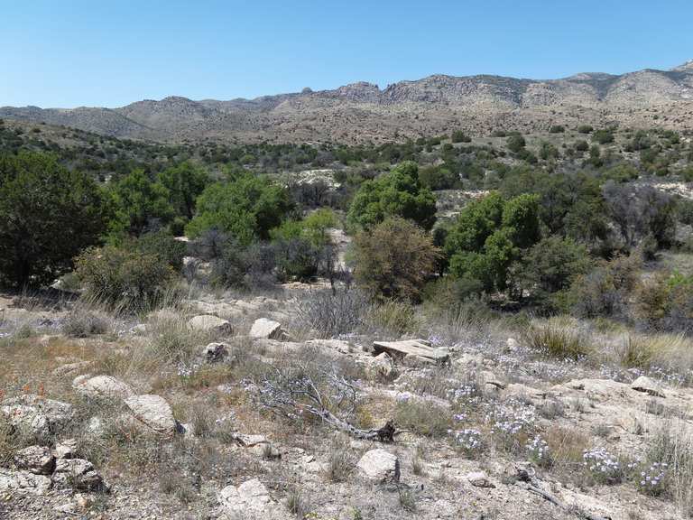 Etappe 5: Der See nach Summerhaven - Arizona Trail | Mountainbike-Tour ...