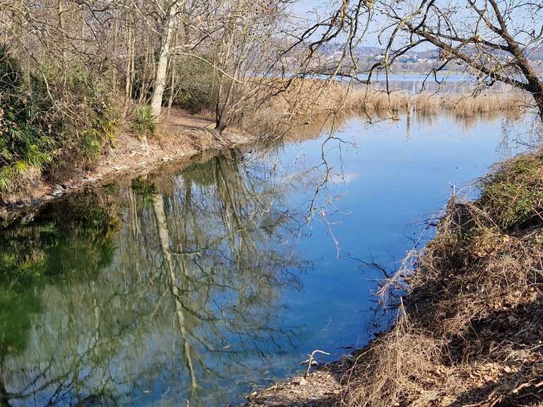 Incontro tra Fiume Bardello e Lago Varese : percorsi ciclabili | Komoot