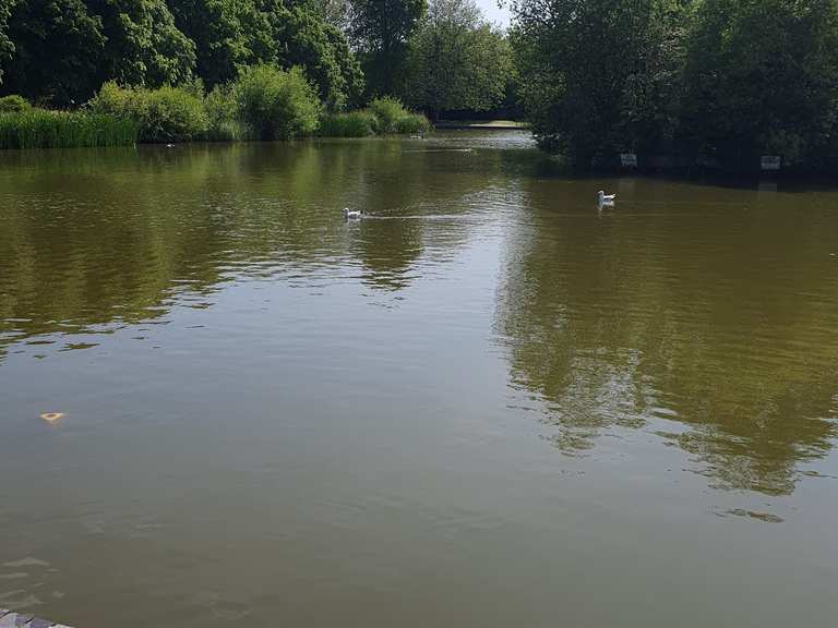 The Common Pond - Cycle Routes and Map | Komoot