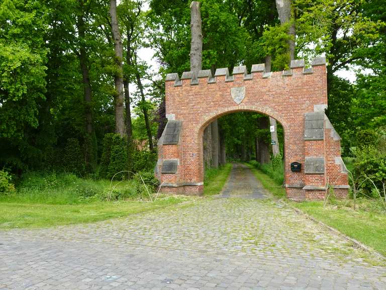 Wandeling naar Paalbos | wandeling | Komoot
