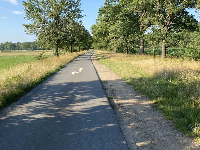 Shortcut between B214 and B188 - Road Cycle Routes and Map | Komoot