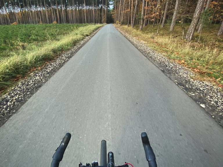 Opolska-weg naar Turawa – Premium asfalt door het bos - fietsroutes en ...