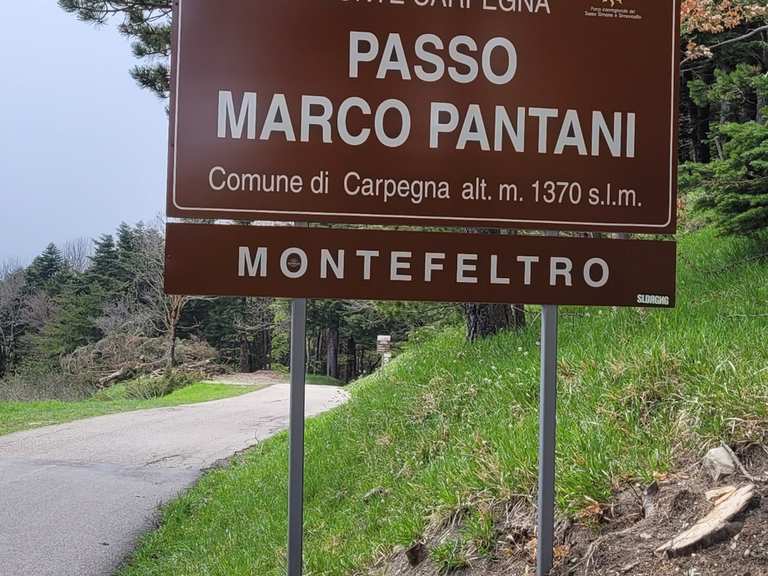 Monte Carpegna (Passo Marco Pantani): percorsi per bici da corsa | Komoot