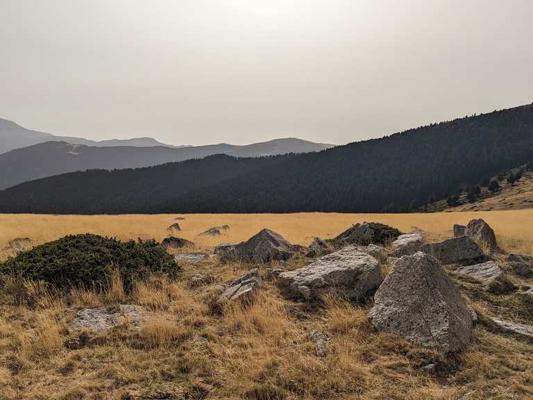 Col del Pal - Itinéraires de rando et marche | Komoot