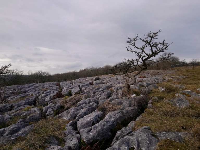 Limestone Pavement Routes for Walking and Hiking | Komoot