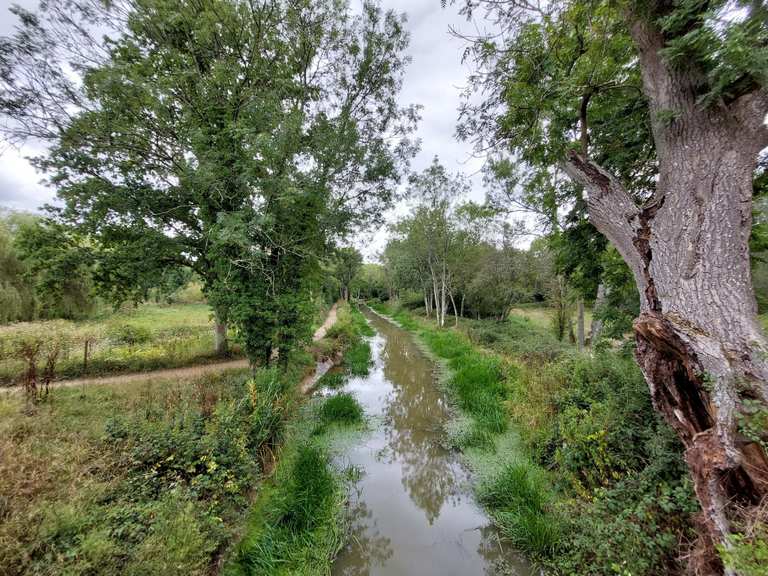 Bridge Over the Wey and Arun Canal Road Cycle Routes and Map | Komoot